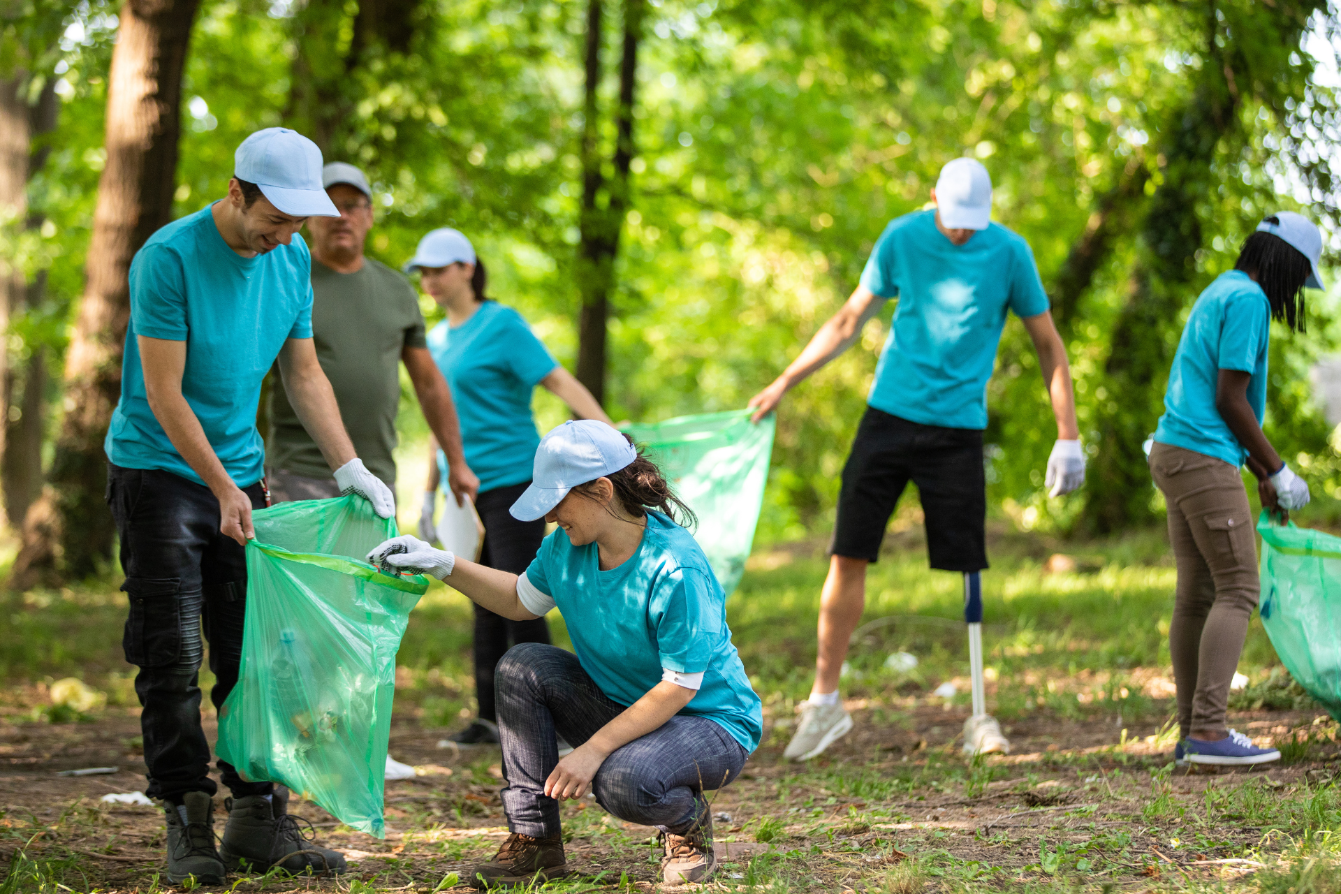 Environment and Sustainability